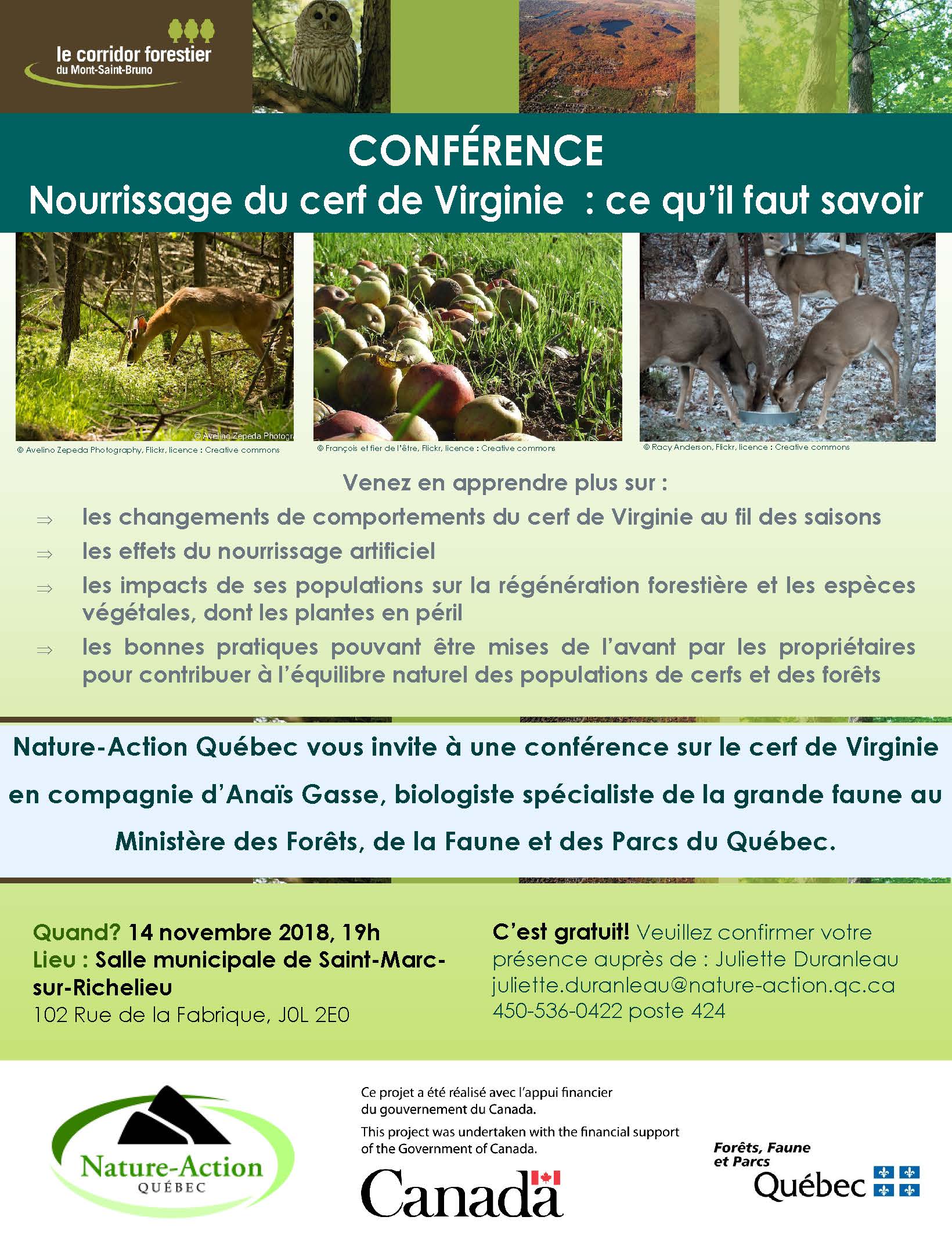 Conférence: Nourrissage du cerf de Virginie – Municipalité Saint-Marc ...